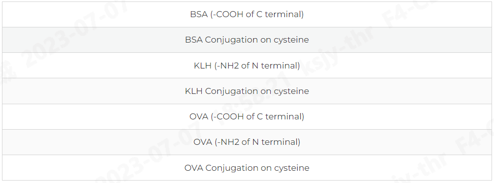 Peptide Conjugations