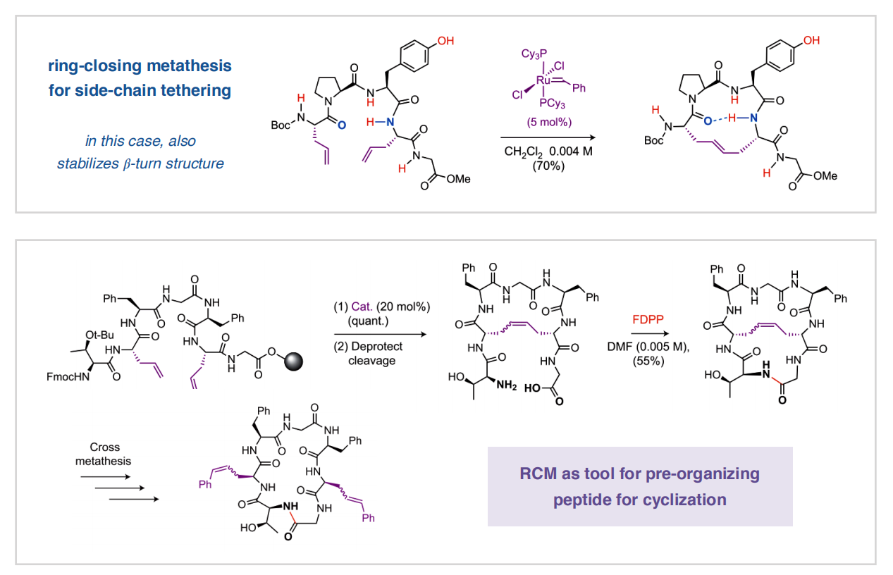 Cyclic Peptides factory, Buy good quality Cyclic Peptides Products from China