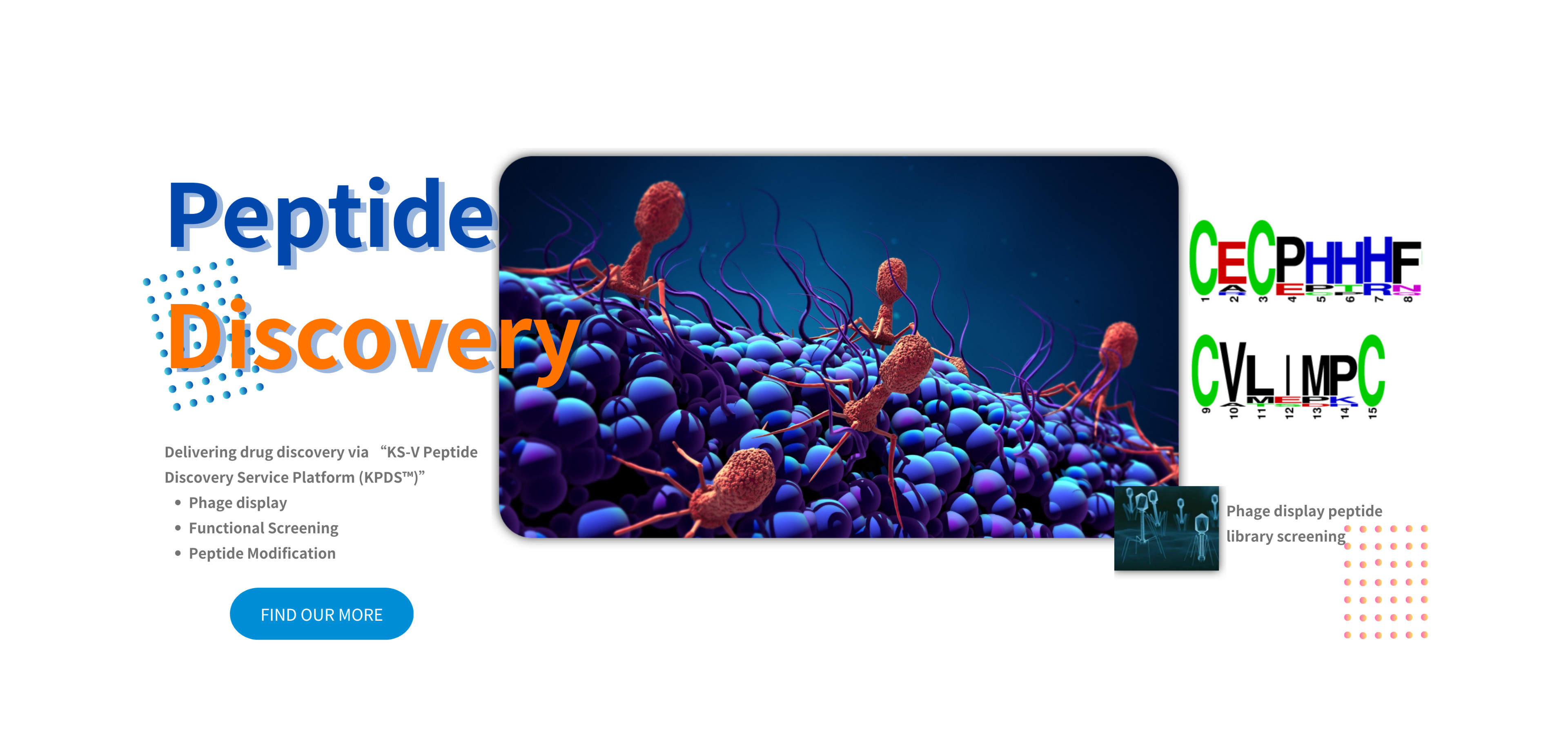 Peptide Expert & Quality Proteins & Ubiquitins factory